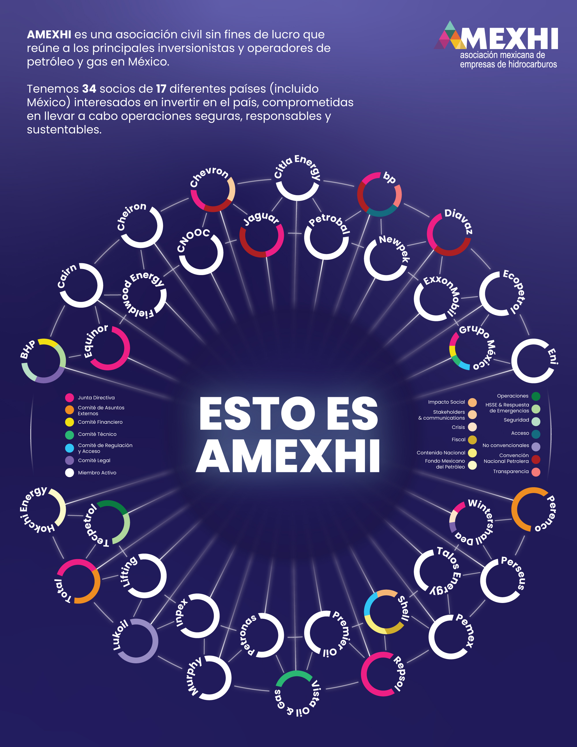 Esto es AMEXHI | Amexhi