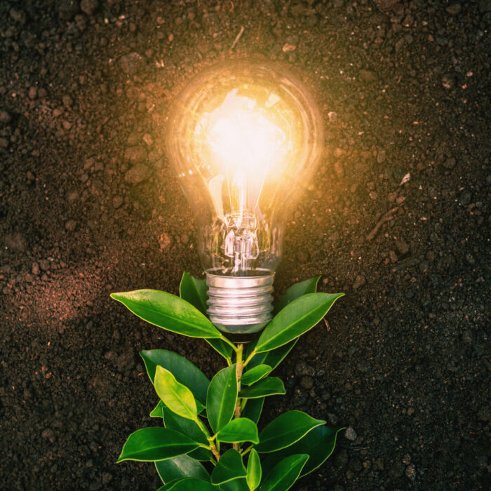 Amexhi | Asociación Mexicana de Empresas de Hidrocarburos