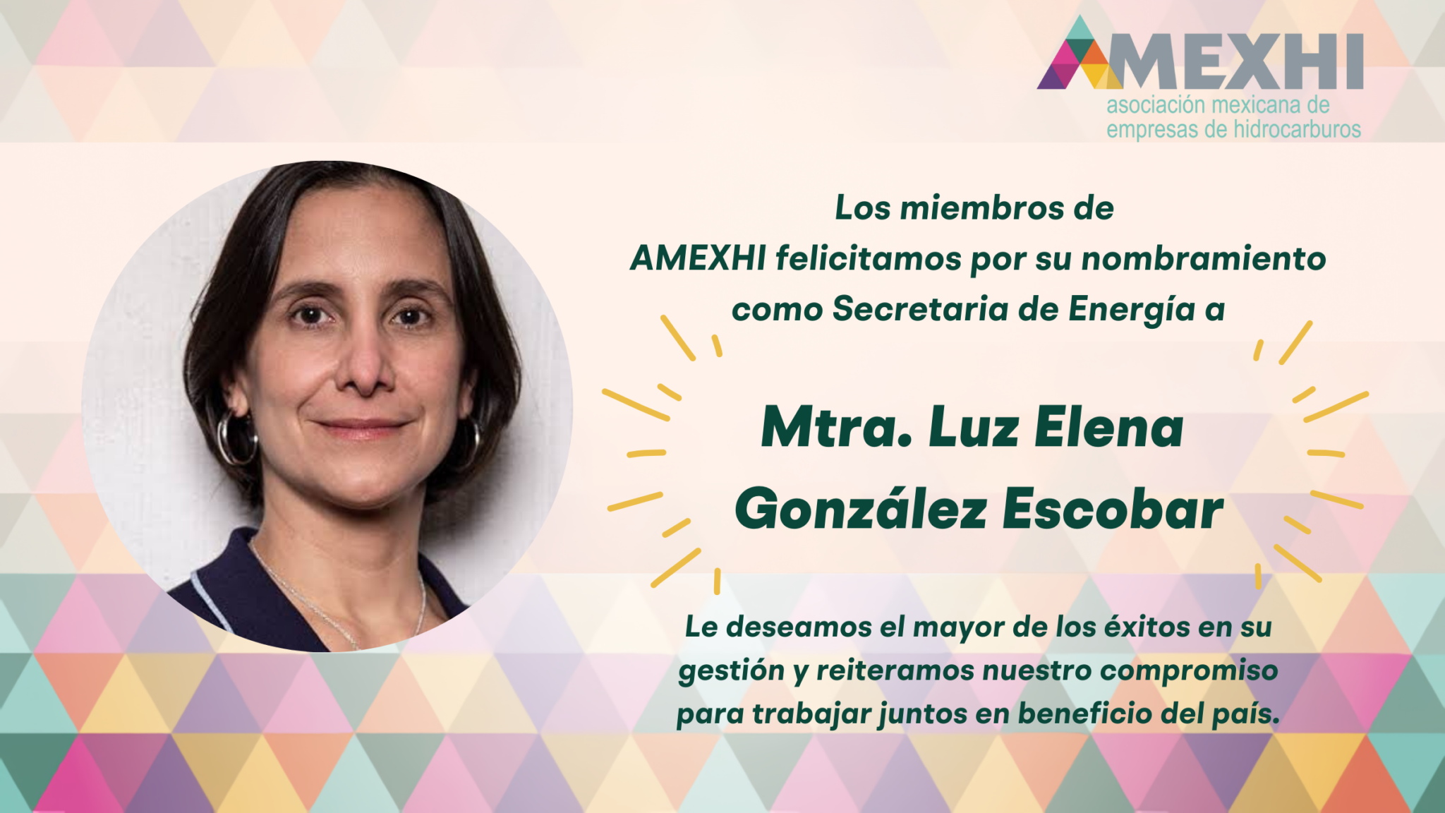 Luz Elena González | Amexhi